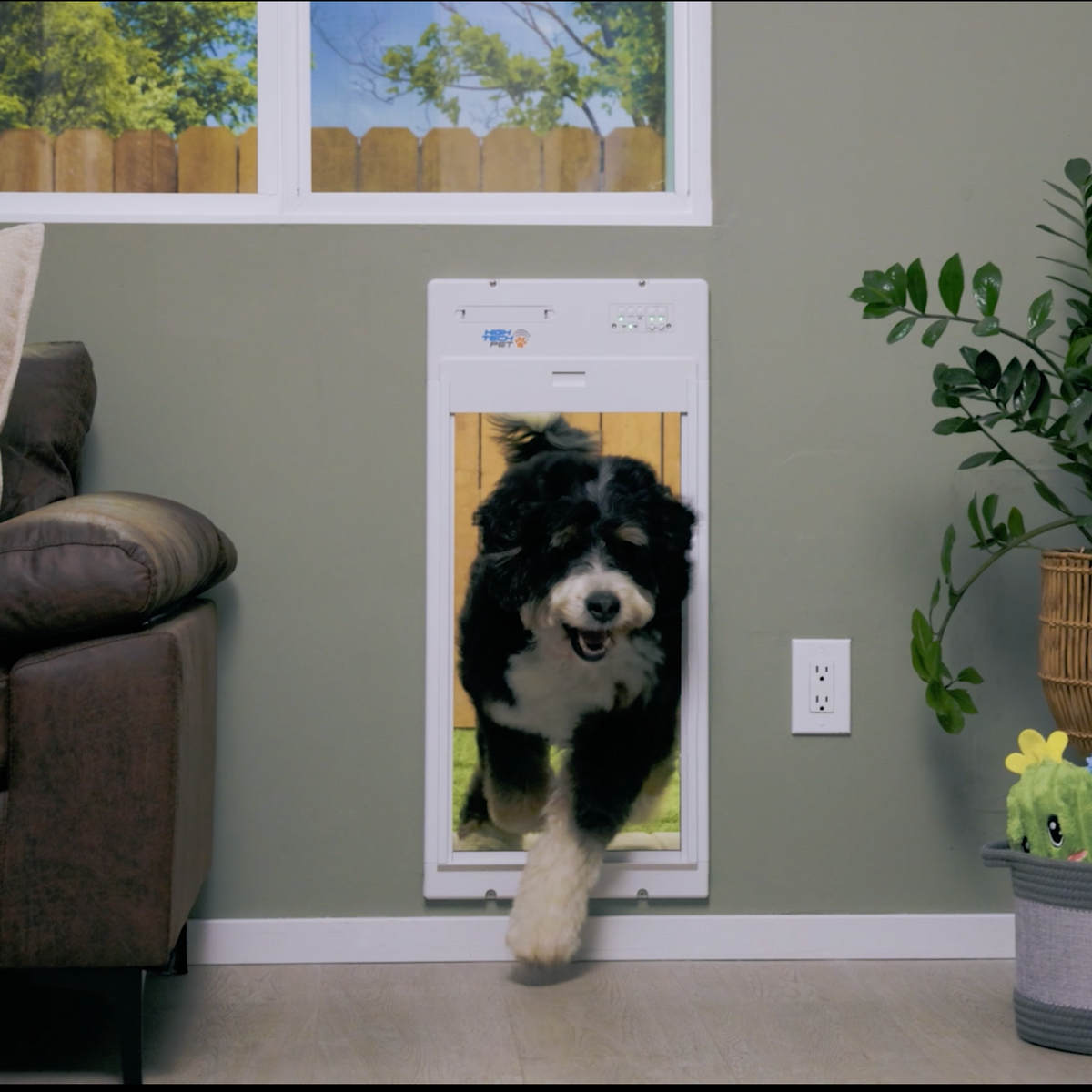 How I Save 3 Hours a Week With an Automatic Dog Door – High Tech Pet