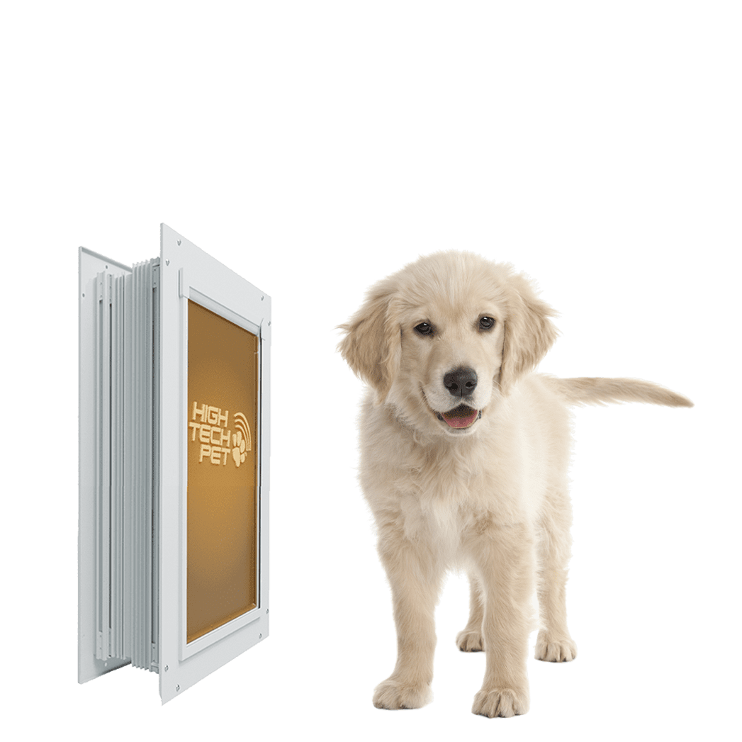 Duraflex Heavy Duty Dog Door - Wall Mount - Medium – High Tech Pet