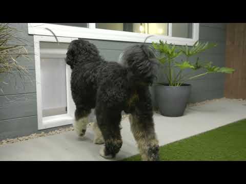PXR-XLW EXTRA LARGE WALL MOUNT POWER PET ROLL UP WiFi ENABLED PET DOOR ...