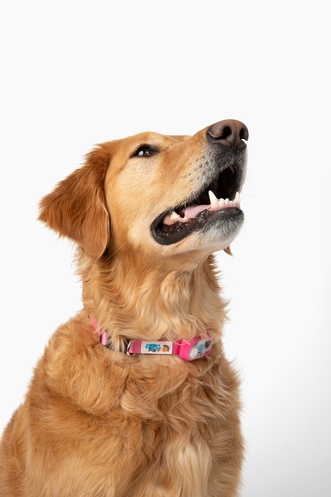 MS-5 Pink Designer Series Automatic Pet Door Collar – High Tech Pet